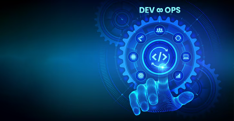 Auxinzio - ServiceDetails